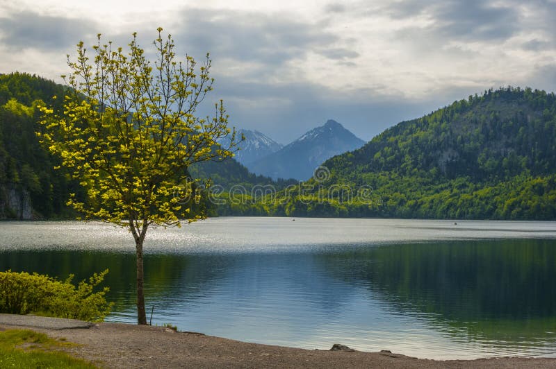 Beautiful alpine lake stock image. Image of beautiful - 144395679