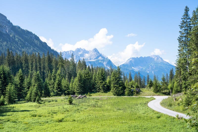 Beautiful alpine landscape stock photo. Image of green - 266556566