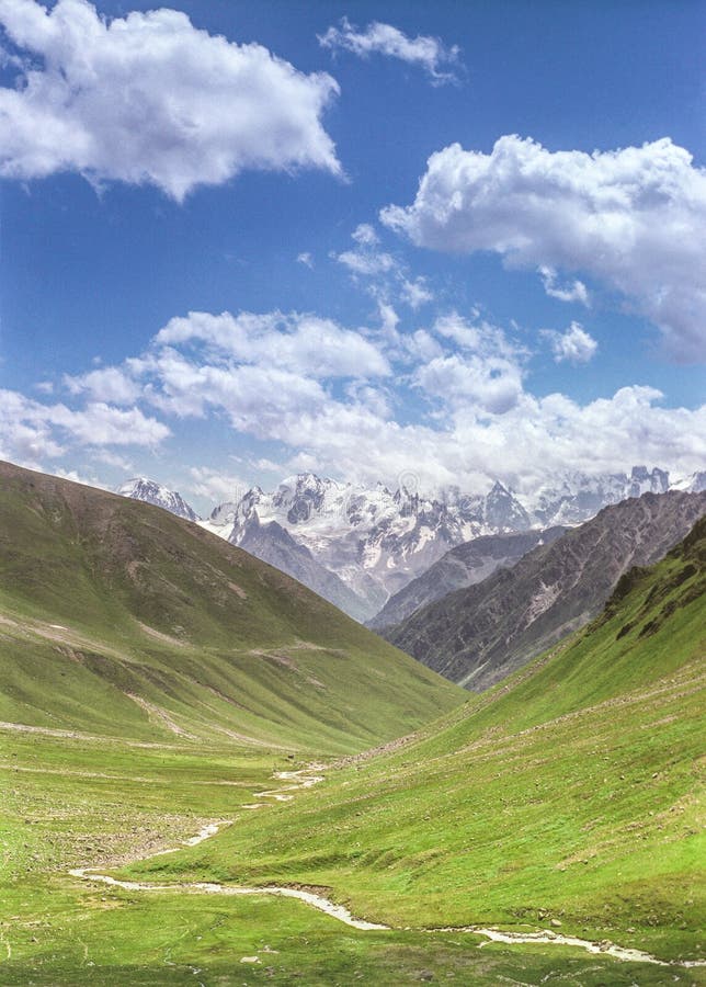 Beautiful Alpine meadows stock photo. Image of mountain - 55427788