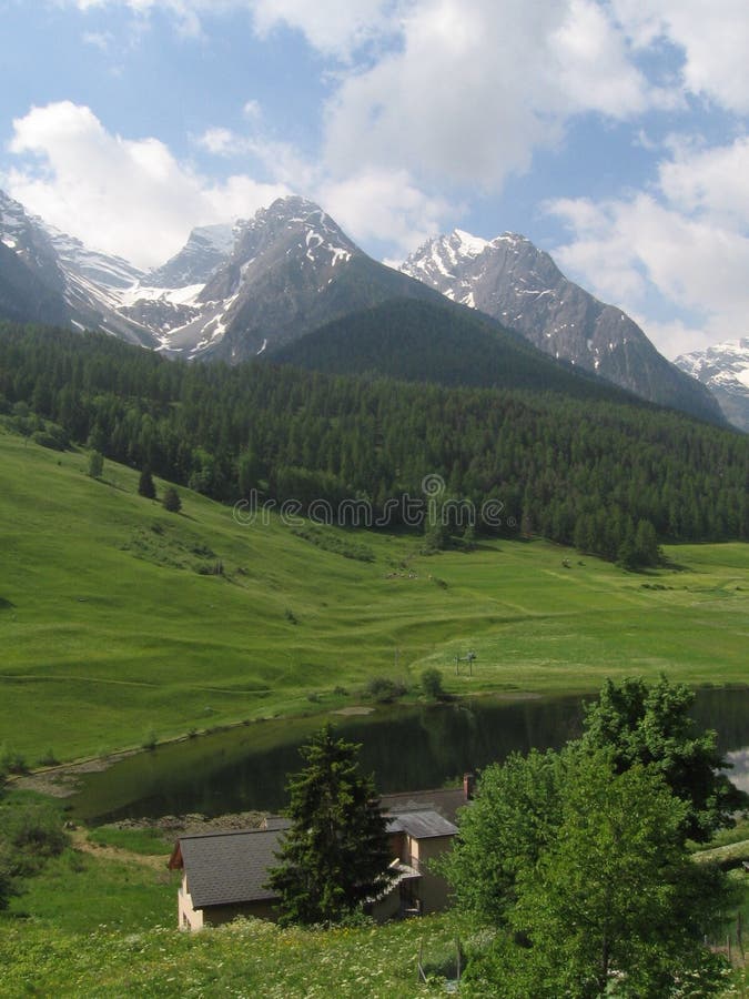 Beautiful Alpine View stock photo. Image of flowers, amazing - 61970718