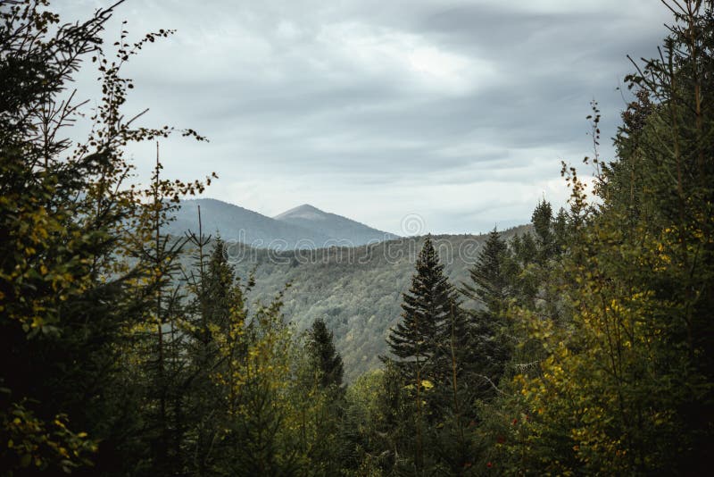 Beautiful Amazing Landscape of Sunny Mountains, Forest, Sky and Stock ...