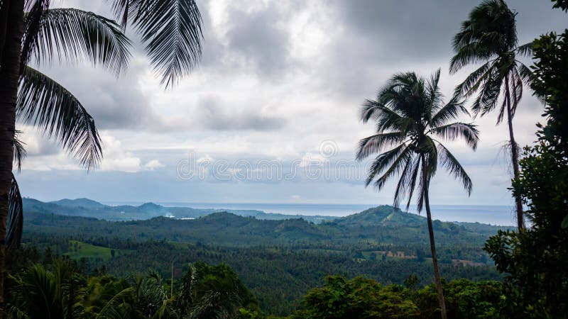 Beautiful and Amazing View of Green Trees Stock Image - Image of nature ... Beautiful and Amazing View of Green Trees Stock Image - Image of nature ...