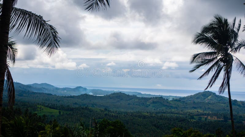 Beautiful and Amazing View of Green Trees Stock Photo - Image of scenic ...