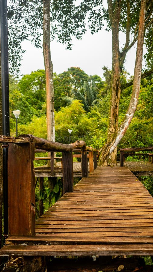 Beautiful and Amazing Wooden Bridge Stock Photo - Image of mountain ...