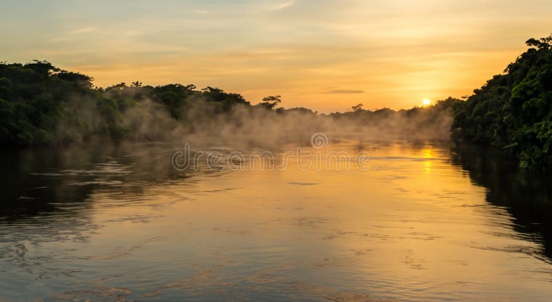 Beautiful Amazon River with Mist Stock Illustration - Illustration of ...