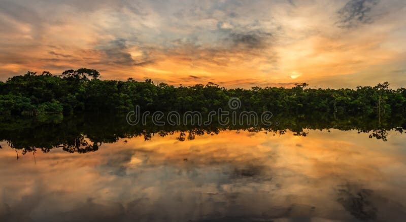 Beautiful Amazon River during a Perfect Sunrise in High Resolution and ...
