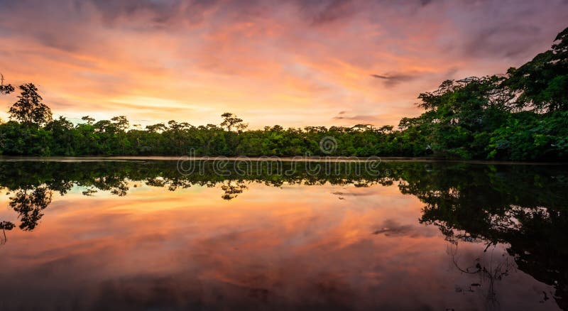 Beautiful Amazon River during a Sunrise Stock Illustration ...