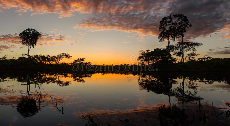 Beautiful Amazon River during a Sunset in High Resolution and Sharpness ...