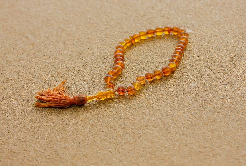 Beautiful Amber Beads on Shells on a Clear Day Stock Photo - Image of ...