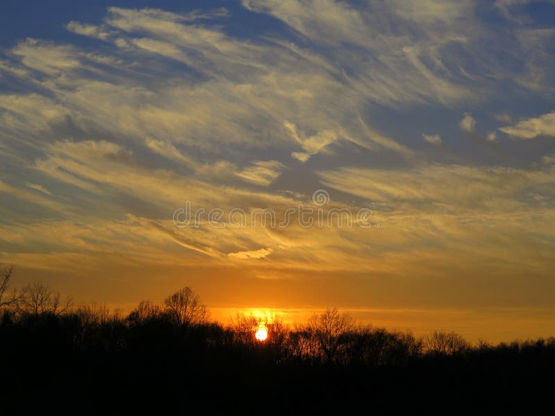 Beautiful Amber Sunset with White Wispy Clouds Forest Edge Stock Photo ...