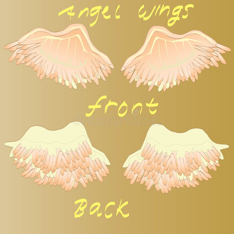 Beautiful Angel Wings Design Set Stock Vector - Illustration of ...