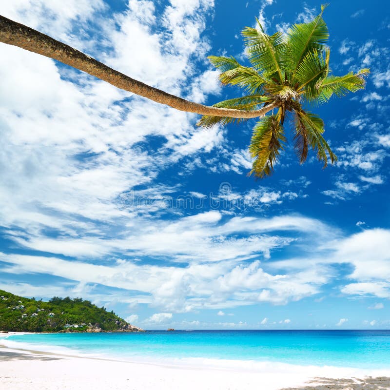Beautiful Anse Intendance Beach at Seychelles Stock Image - Image of ...