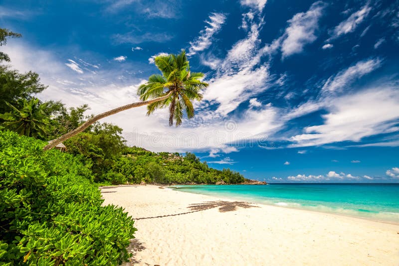 Beautiful Anse Intendance Beach at Seychelles Stock Photo - Image of ...