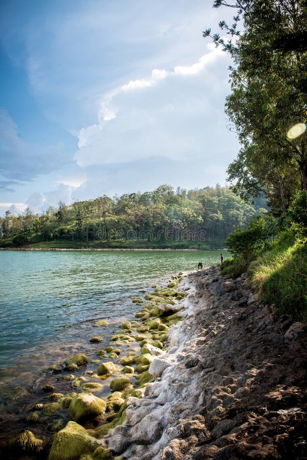 Beautiful Aqua Water on the Lakes Edge Stock Photo - Image of meadow ...