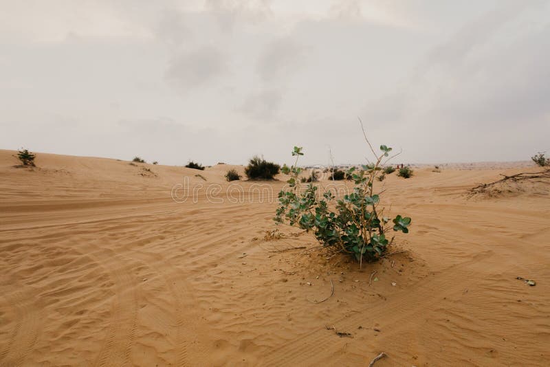 Beautiful Arabian Desert Landscape Stock Image - Image of orange, heat ...