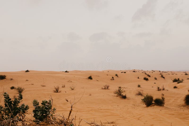 Beautiful Arabian Desert Landscape Stock Photo - Image of arabic ...