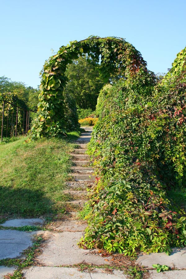 Beautiful arc stock image. Image of flora, nature, foliage - 2167895