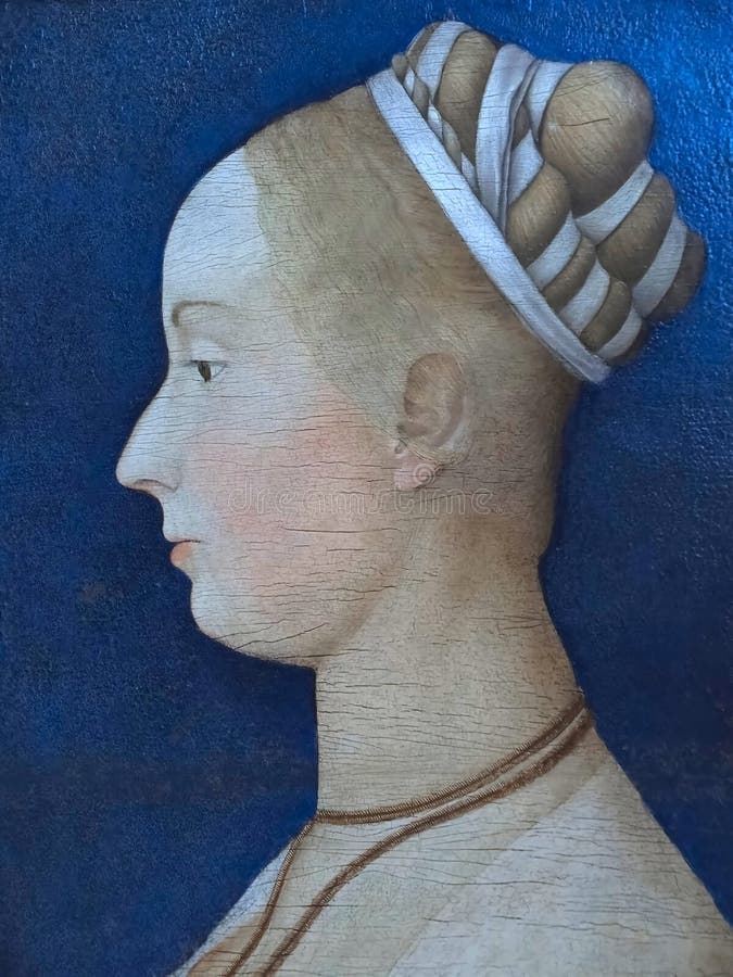 Beautiful Art Collection Inside the Museum Correr in Venice Angelo ...