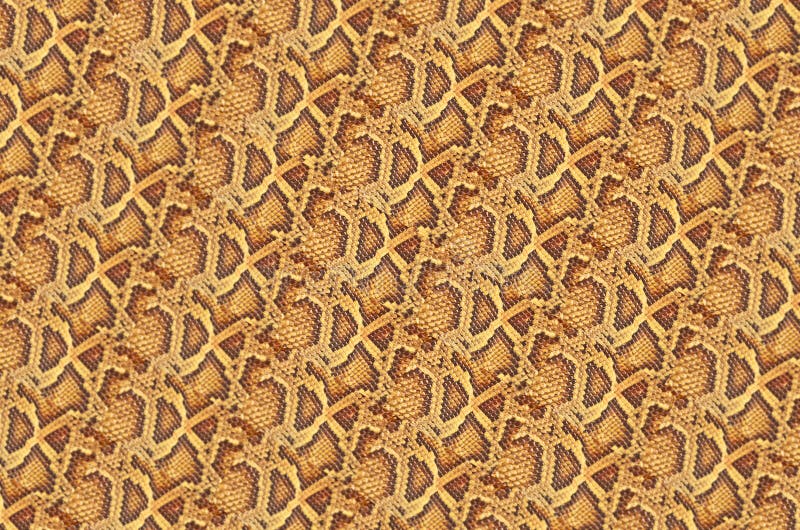 418 Beautiful Pattern Boa Skin Stock Photos - Free & Royalty-Free Stock ...