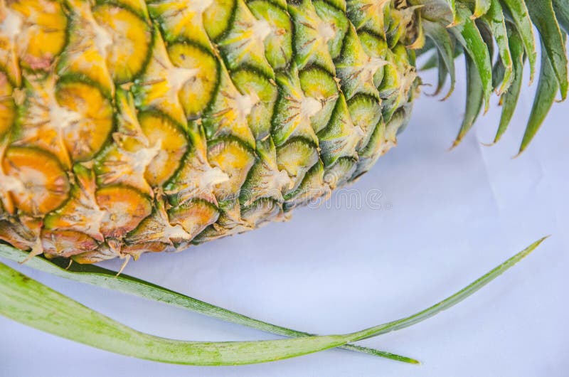 Pineapple Shell Pattern with Leaves Stock Image - Image of texture ...