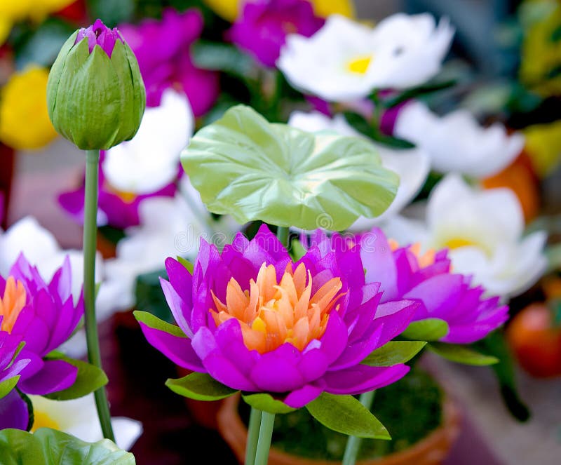 The Artificial Lotus Flower Stock Photo - Image of attractive ...