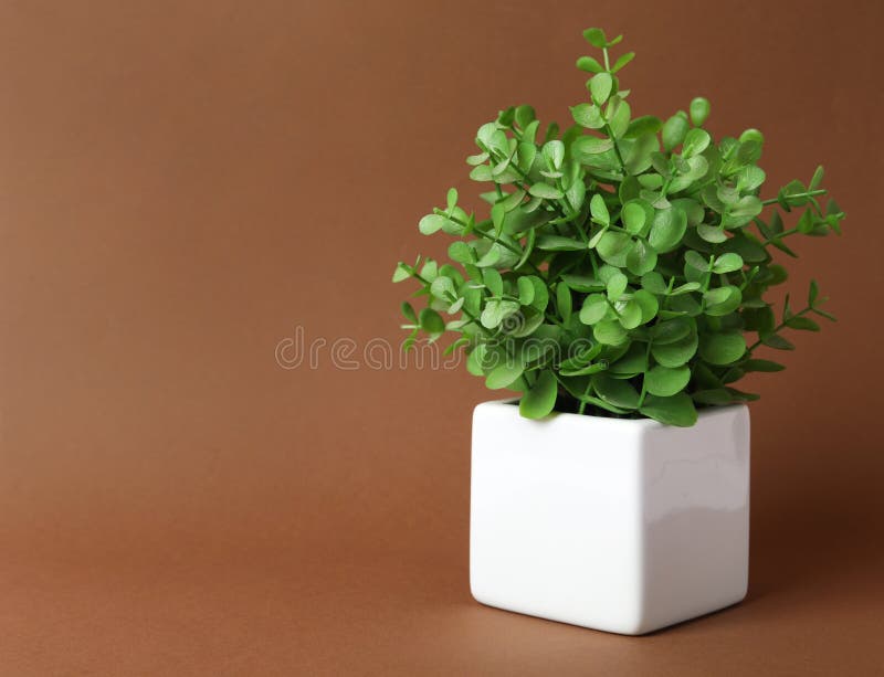 Beautiful Artificial Plant in Flower Pot on Background, Space for Text ...