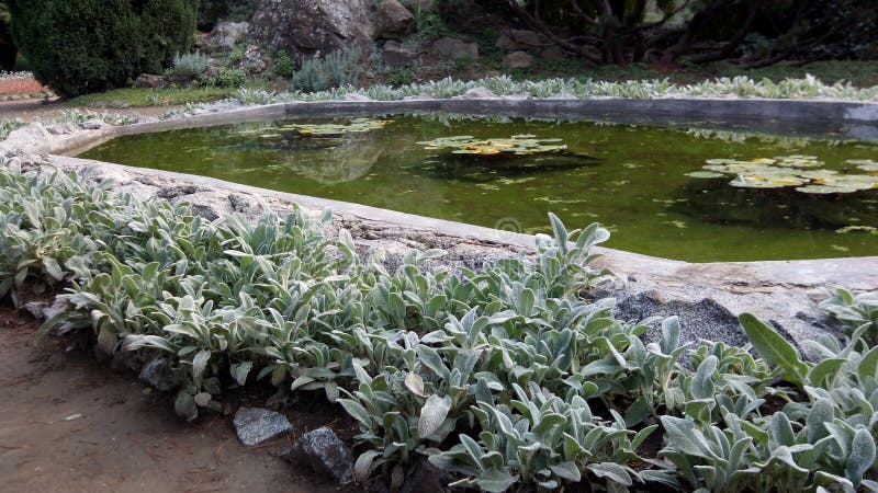 Beautiful artificial pond stock photo. Image of ukraine - 64798830