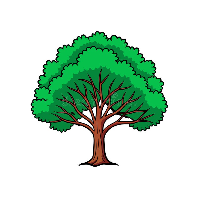 Beautiful Emerald Ash Tree Artwork Stock Illustration - Illustration of ...