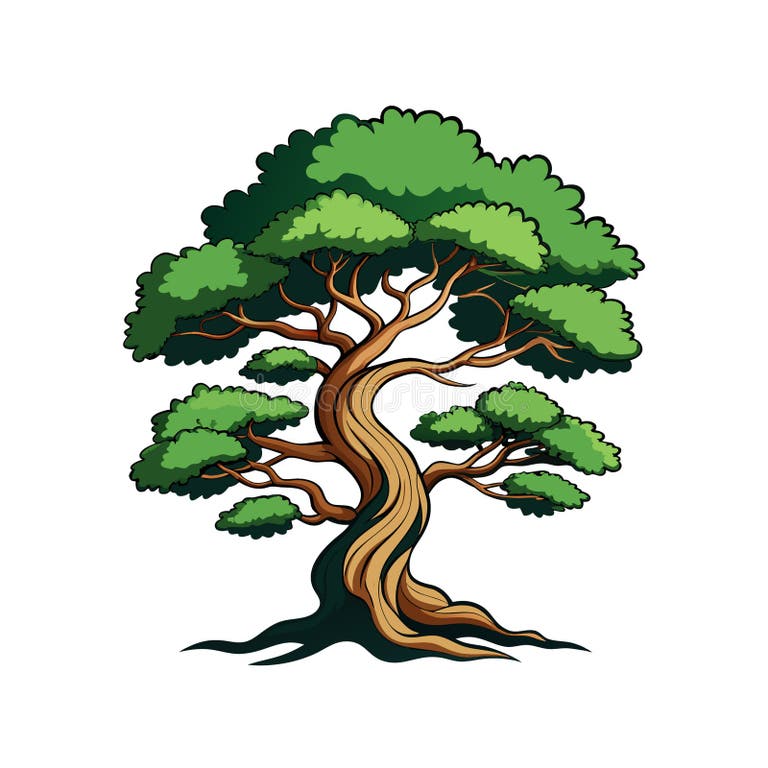 Beautiful Artwork of Juniper Tree Stock Illustration - Illustration of ...