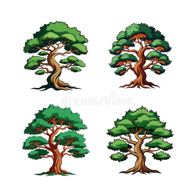 Beautiful Artwork of Juniper Tree Stock Vector - Illustration of ...