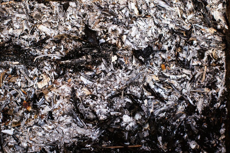 Beautiful Ash Background for Design Stock Photo - Image of detail ...