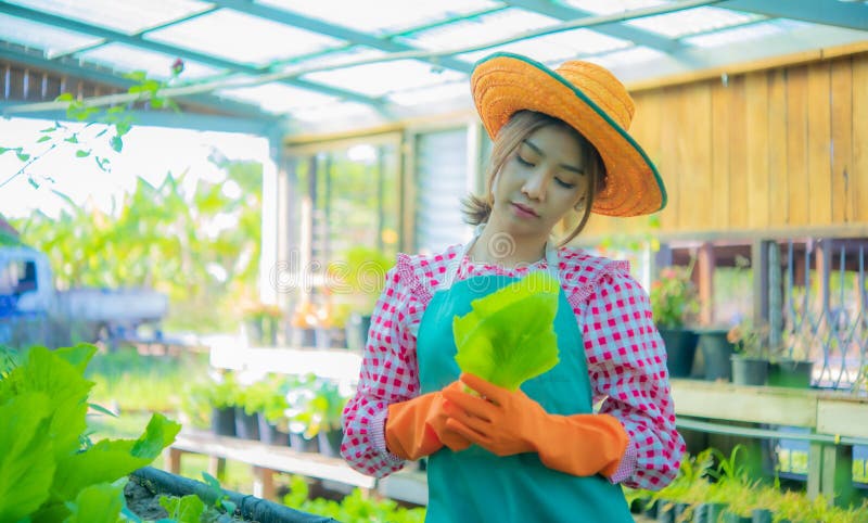 Beautiful Asian Farmer Commitment To the Environment and Organic ...