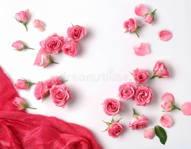 Assorted Pink Heads: Various Soft Roses and Leaves Scattered on White ...