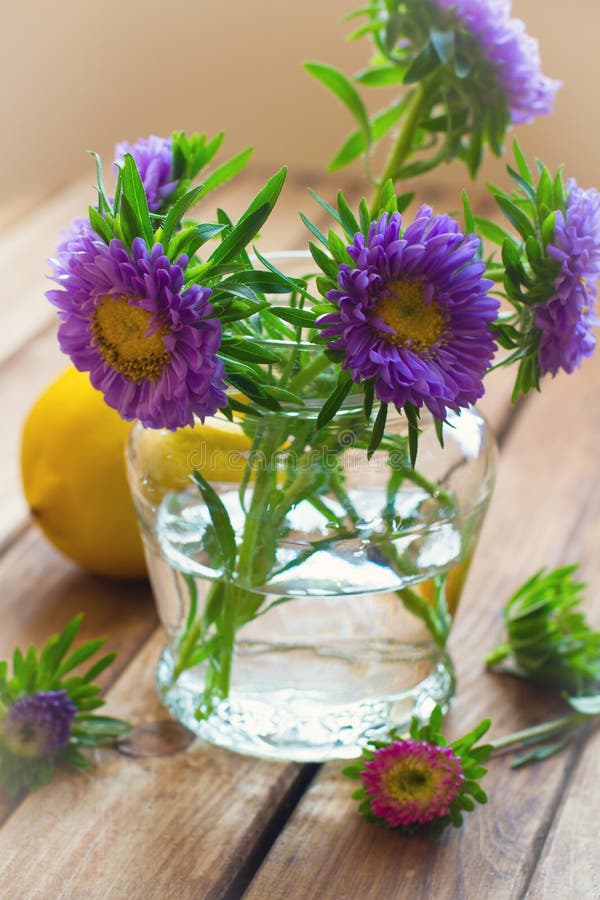 120+ Aster bouquet Free Stock Photos - StockFreeImages