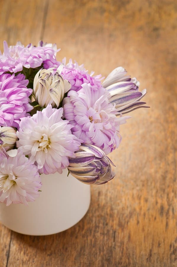 Beautiful Aster Flower Bouquet and Chocolates Stock Photo - Image of ...