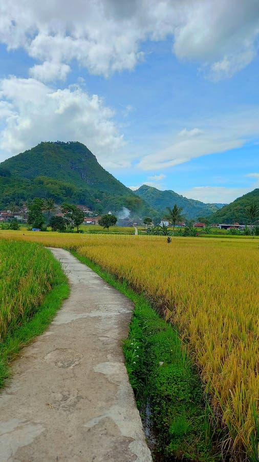 Beautiful Atmosphere of My Village Stock Photo - Image of village, farm ...