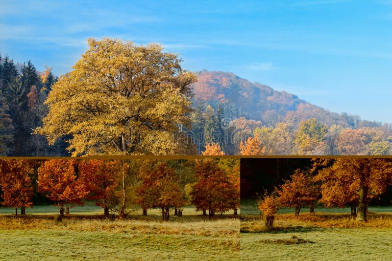 Beautiful atumn landscape stock image. Image of natural - 11619259