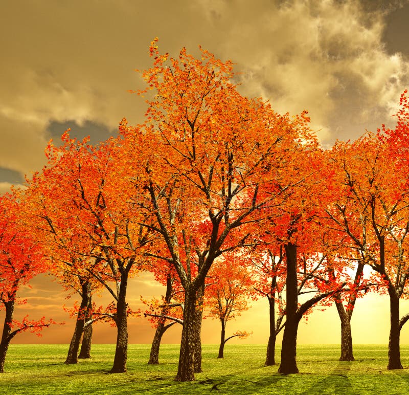 Autumn, Beautiful, Blur, Blurry Picture. Image: 102380477