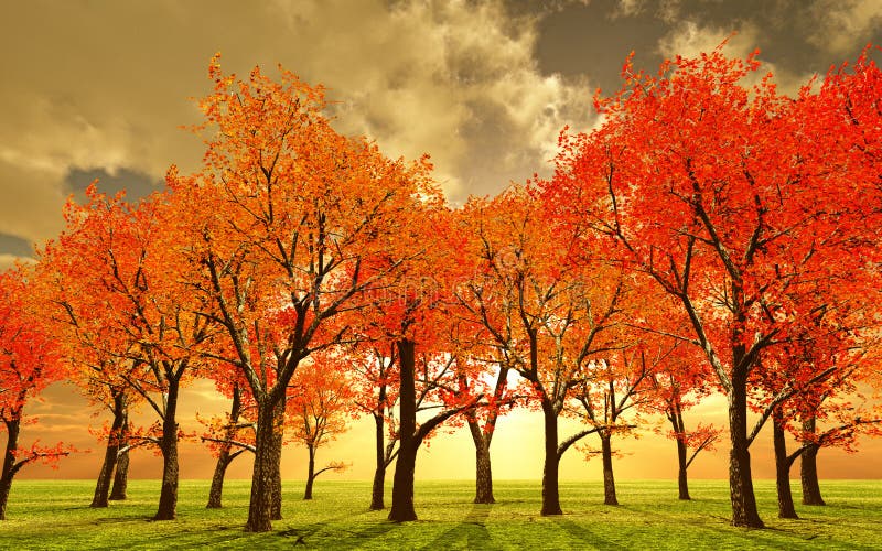 Beautiful autumn stock illustration. Illustration of beautiful - 5746659