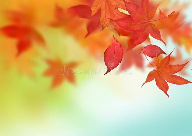 4,018,619 Autumn Background Stock Photos - Free & Royalty-Free Stock ...