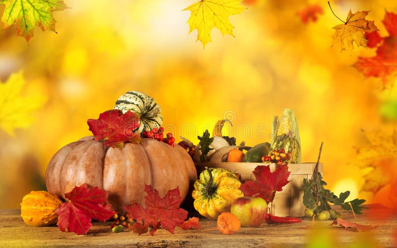 Beautiful Autumn Background Stock Photo - Image of abstract, fall: 44529494