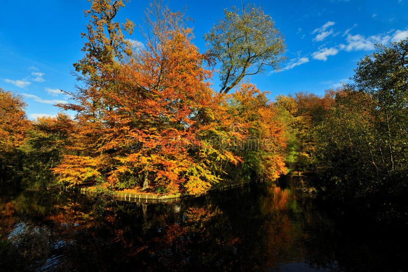 Beautiful autumn colors stock photo. Image of colors - 11562222