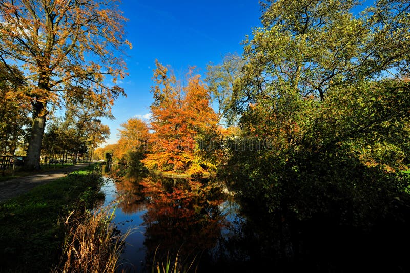Beautiful autumn colors stock photo. Image of forest - 11562350