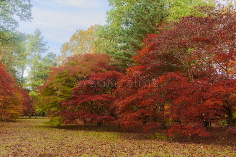 Beautiful Autumn Colours stock photo. Image of fallseason - 130579408