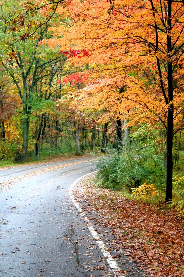 Autumn road in the park stock image. Image of flight, leaves - 7834681