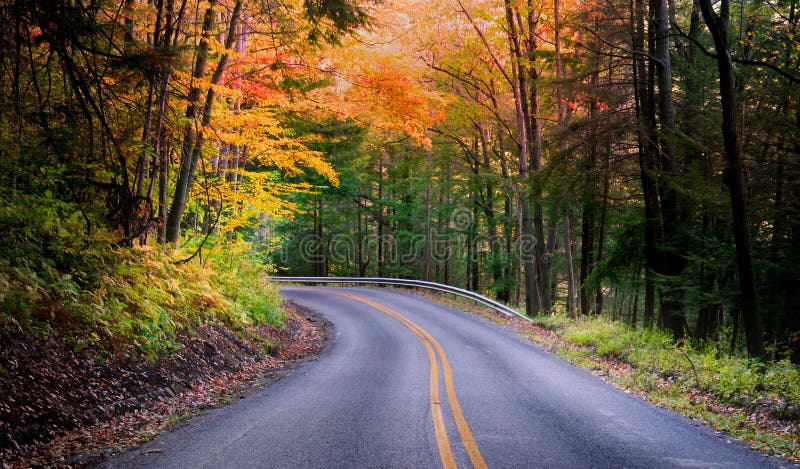 Beautiful Autumn Drive stock photo. Image of wood, nature - 9259732