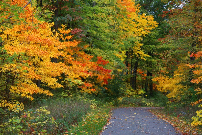 Beautiful autumn drive stock image. Image of orange, park - 45911393