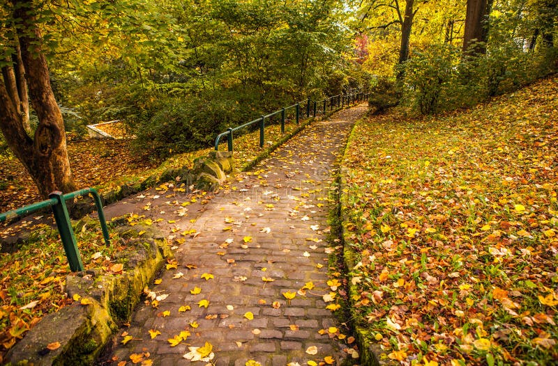 Beautiful Autumn European Park Elements Close-up Stock Image - Image of ...
