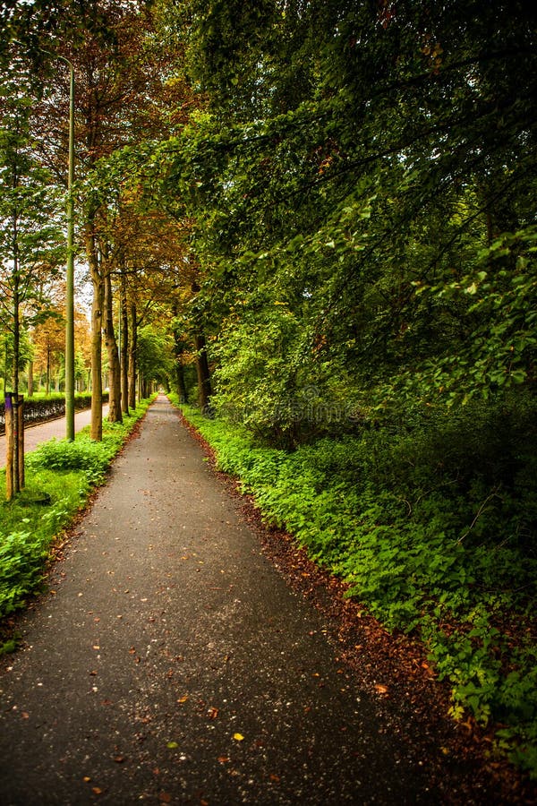 Beautiful Autumn European Park Elements Close-up. Stock Photo - Image ...