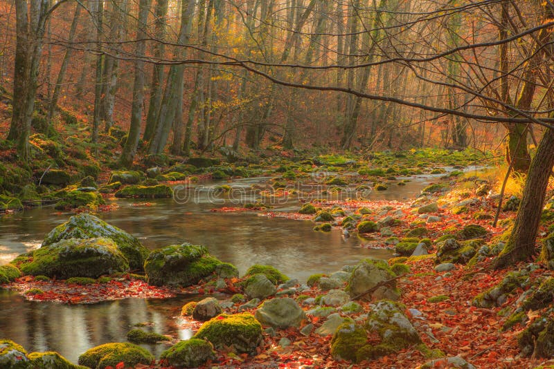 Beautiful Autumn Foliage and Mountain Stream in the Forest Stock Image ...